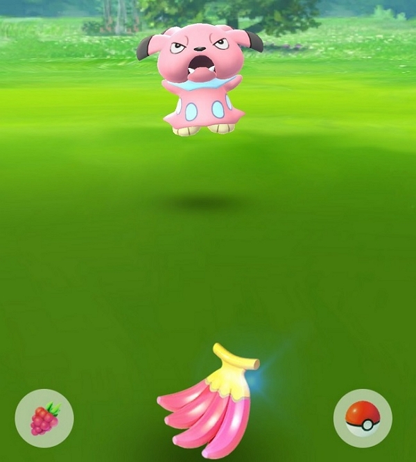 Pokémon Go Regional Map and How to Catch Pokemon Go Regional Exclusives